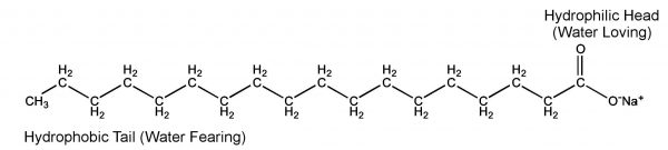 The History of Soap ~ Bulk Apothecary Blog